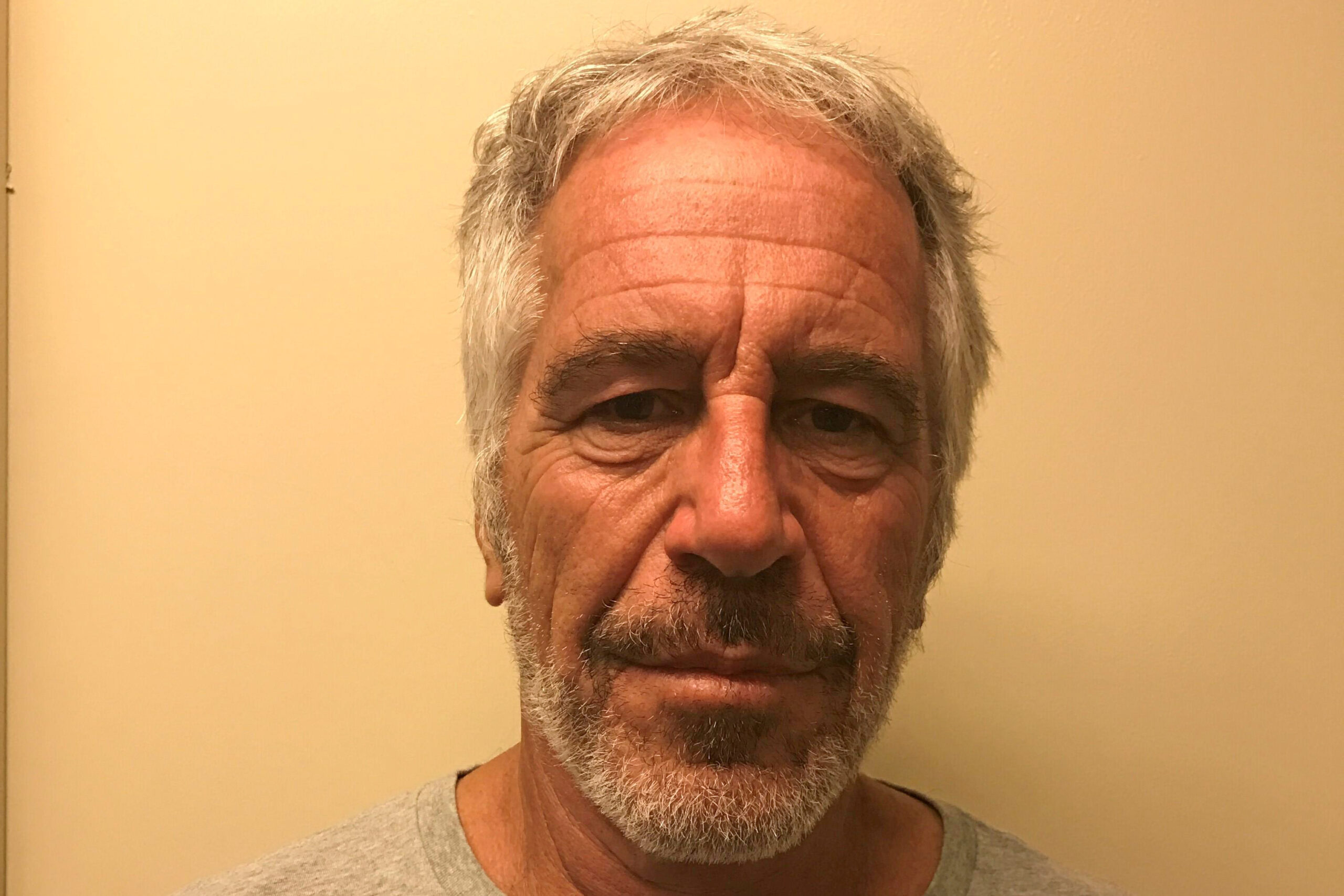 Epstein plotted with rich pal to evade long arm of the law: emails